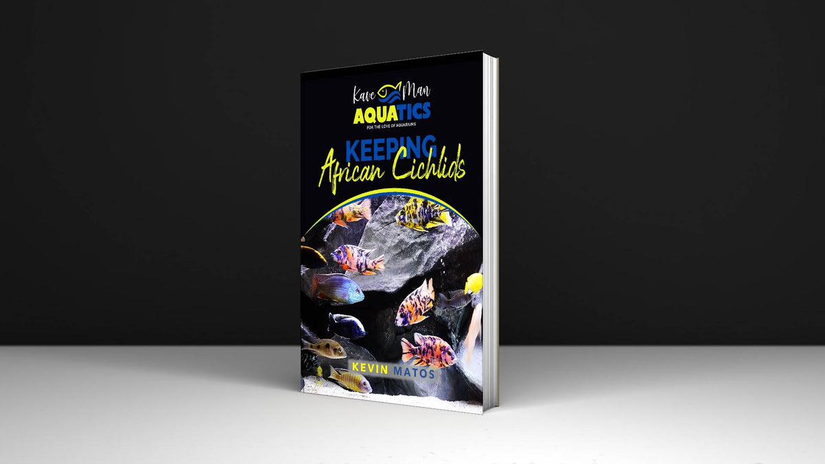 Keeping African Cichlids – KaveMan Aquatics Shop