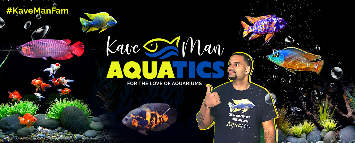 KaveMan Aquatics Shop